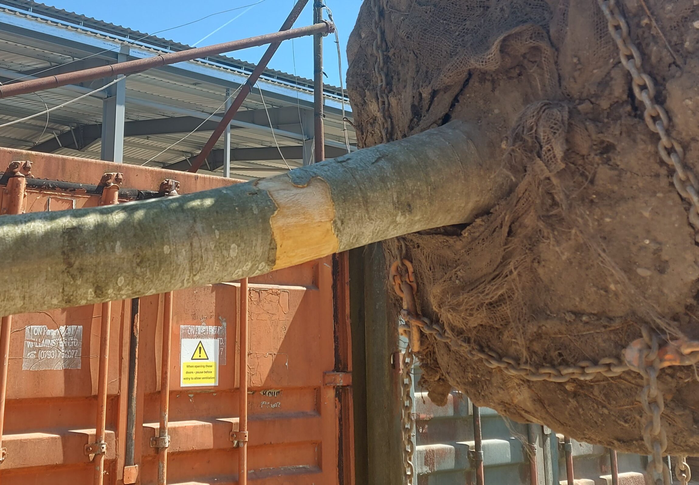 Bridge Graft - Cotswold Estates & Gardens